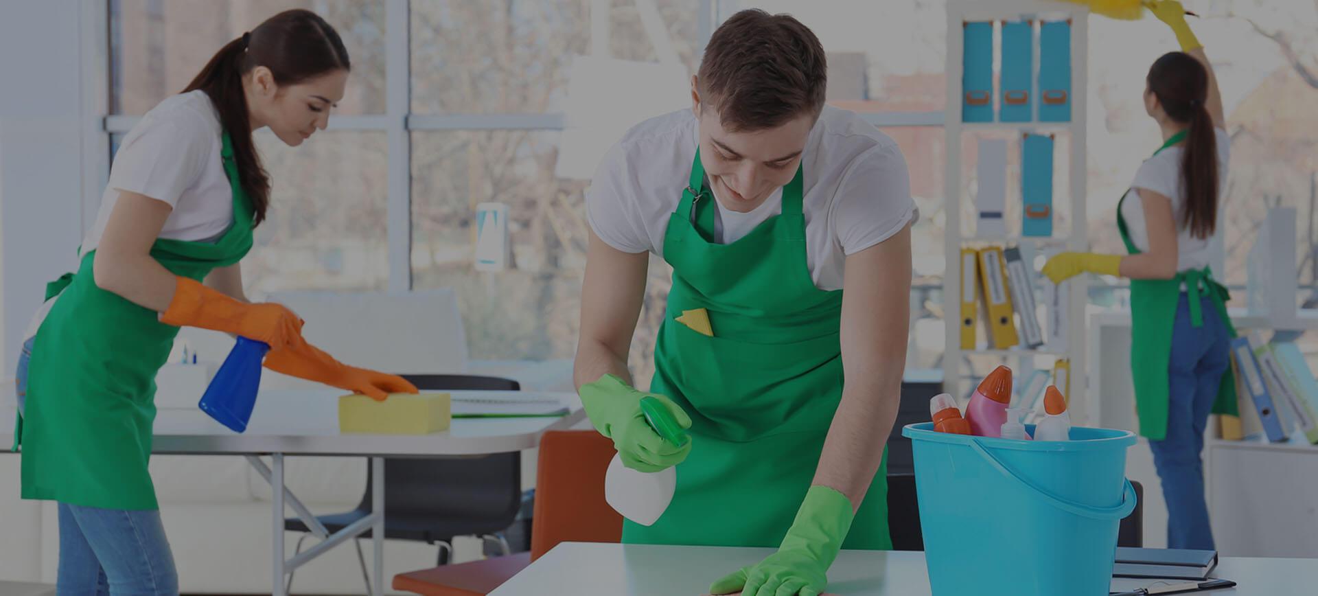 Cleaning Services | Avas – Elementor WordPress Theme